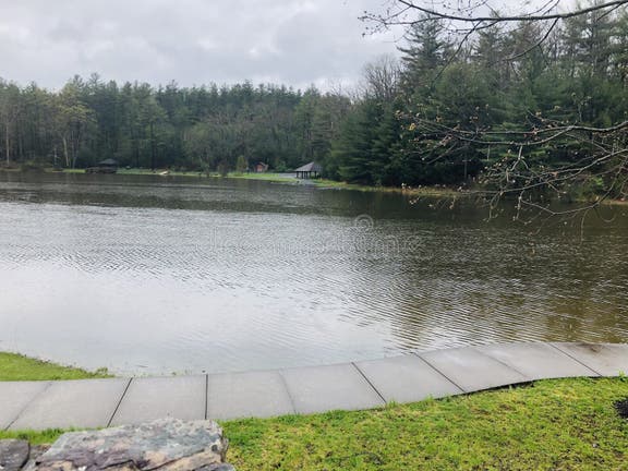 Rainy May Morning stock image. Image of pouch, bike - 246863531