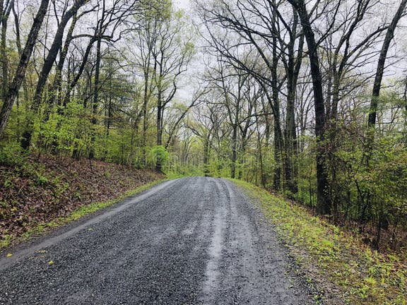 Rainy May Morning stock image. Image of perez, beautiful - 246863535