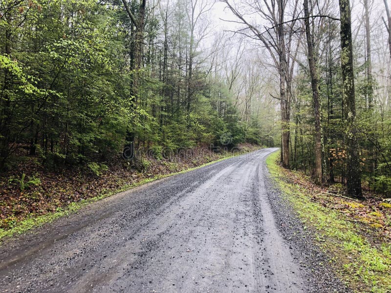 Rainy May Morning stock image. Image of biking, hour - 246863537
