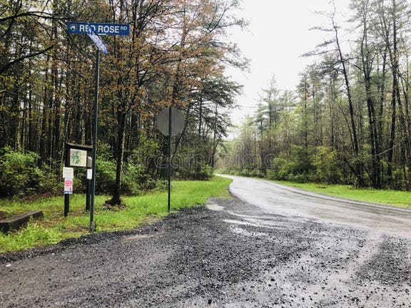 Rainy May Morning stock photo. Image of cute, landscape - 246863540