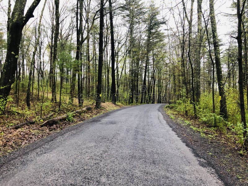 Rainy May Morning stock photo. Image of park, landscapes - 246863568