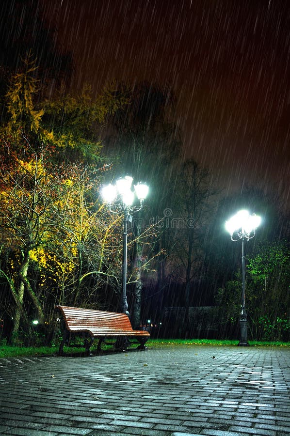 The Rainy Night in the Autumn Park Stock Photo - Image of horizontal ...