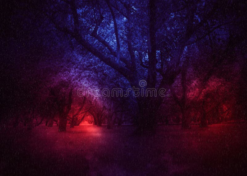 112 Scary Apple Tree Stock Photos - Free & Royalty-Free Stock Photos ...