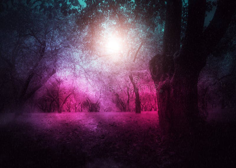 112 Scary Apple Tree Stock Photos - Free & Royalty-Free Stock Photos ...