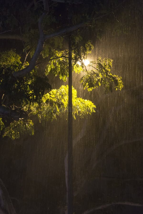 Rainy night stock image. Image of mistery, light, alone - 90657325