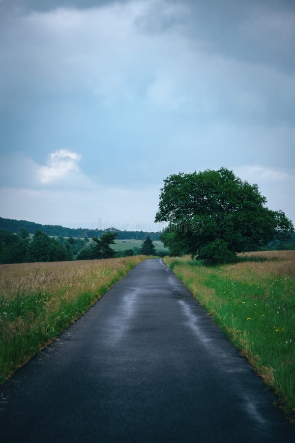Rainy Path on the Countryside through Green Fields Stock Image - Image ...