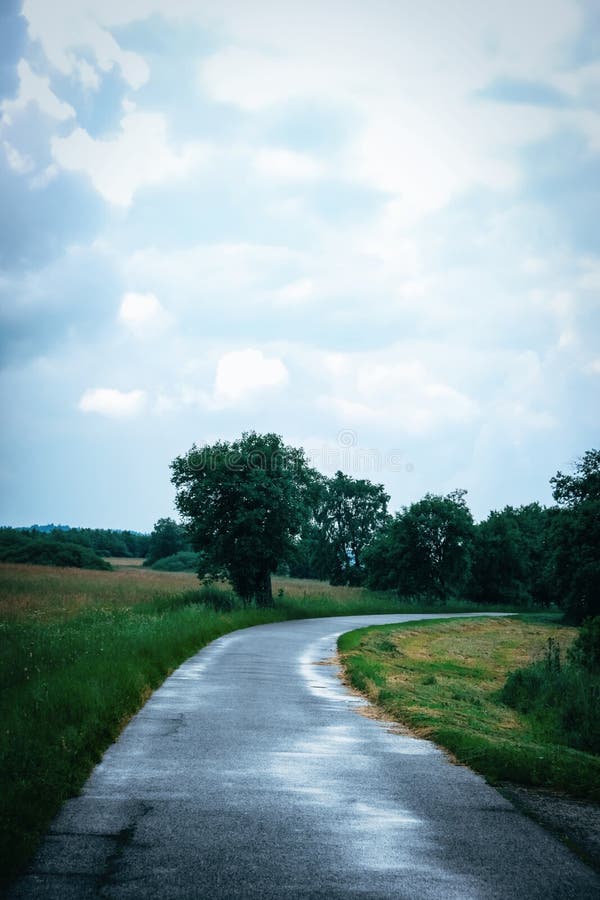 Rainy Path on the Countryside through Green Fields Stock Image - Image ...