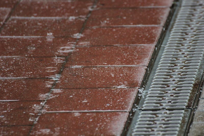 Rainy Day with Path and Trees Stock Image - Image of trees, path: 107942461