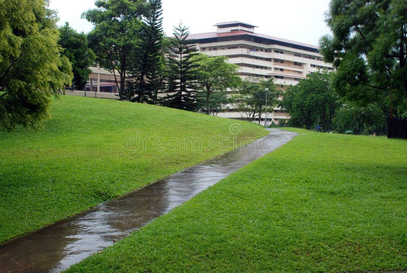 Rainy path - landscape stock image. Image of tree, plants - 5493209