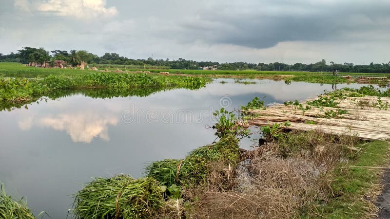 Rainy season stock photo. Image of season, river, village - 114115138