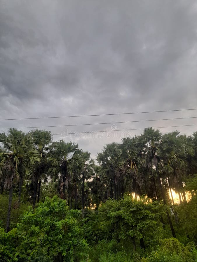 Shinesun Stock Photos - Free & Royalty-Free Stock Photos from Dreamstime