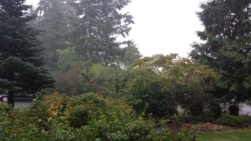 Rainy and Sunny at the Same Time1 Stock Image - Image of property ...