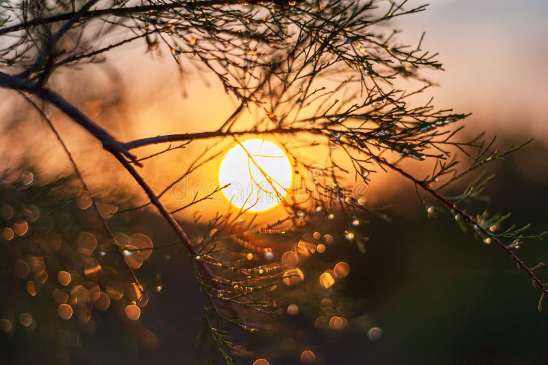 A Rainy Sunset with Water Drops Stock Image - Image of peaceful, fall ...