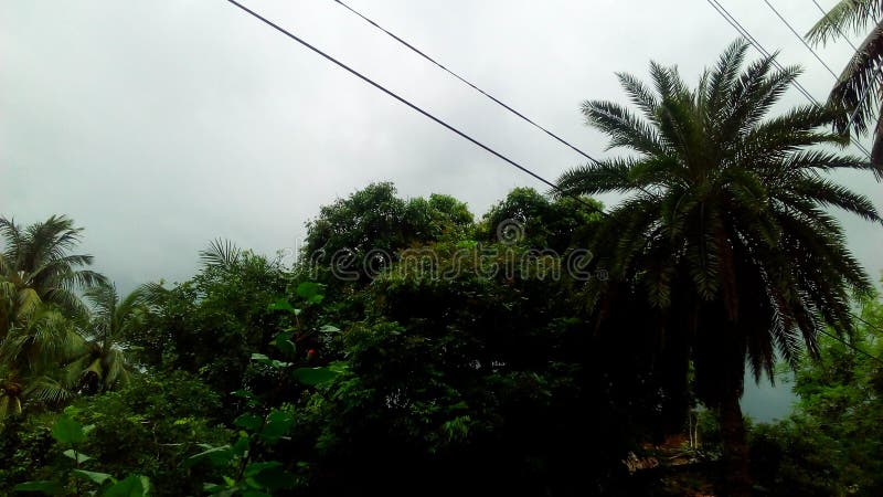 Rainy view of nature stock image. Image of beautiful - 126963185