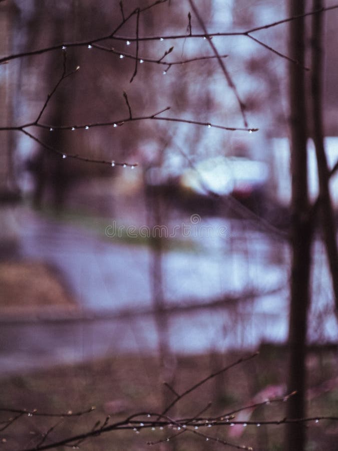 Rainy Weather in a Real Russian Courtyard Stock Photo - Image of town ...