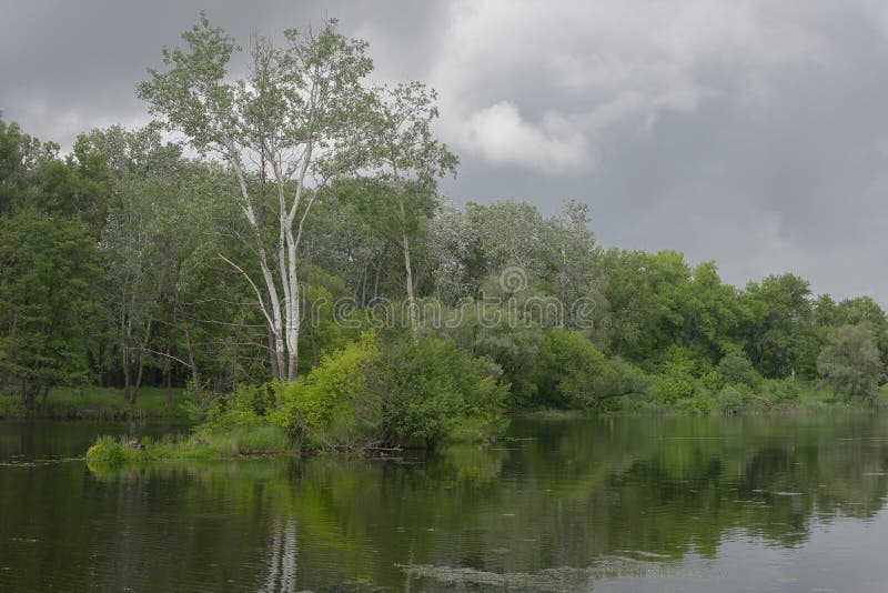Rainy weather stock image. Image of rainy, nature, environment - 184752039