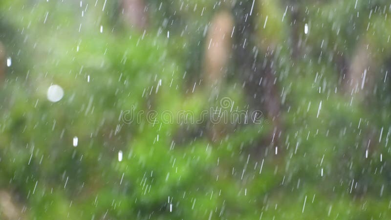 Close-up of Rain Drops Falling Down on Front Yard Pavement. Rainy ...