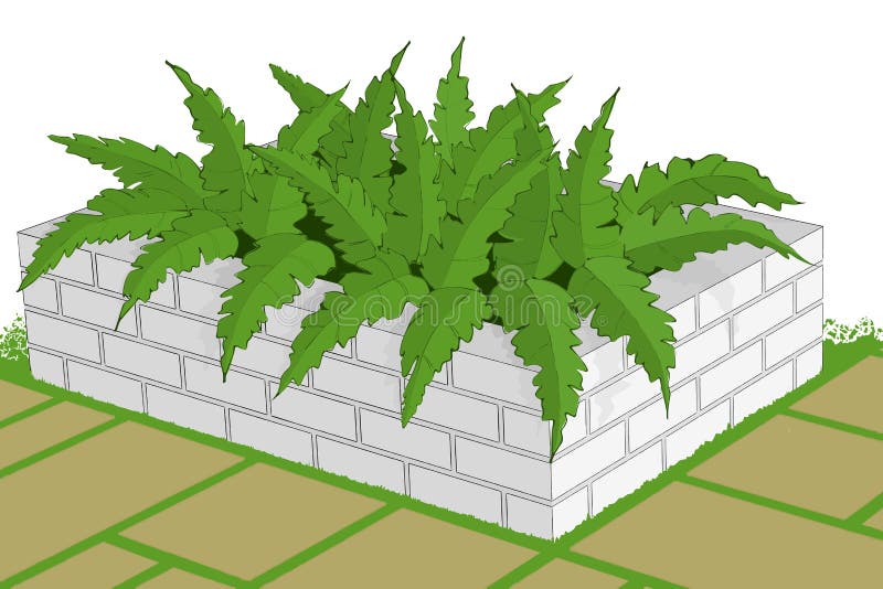 Bed Garden Raised Stock Illustrations – 242 Bed Garden Raised Stock ...