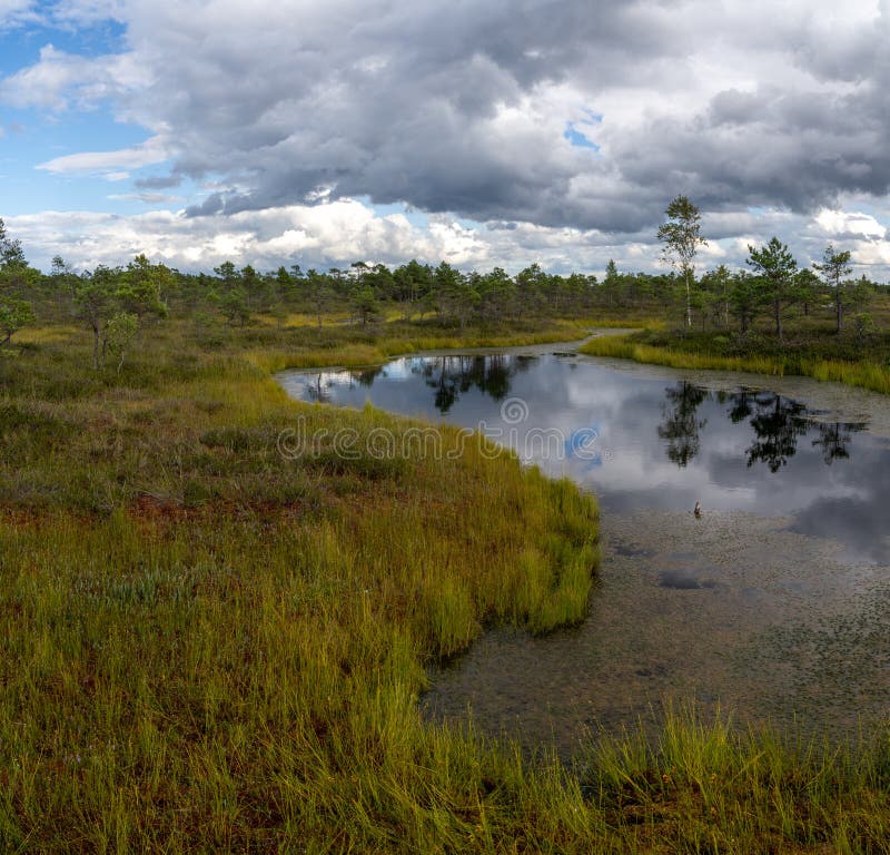 Raised Bog and Marsh Landscape Under an Expressive Sky Stock Photo ...