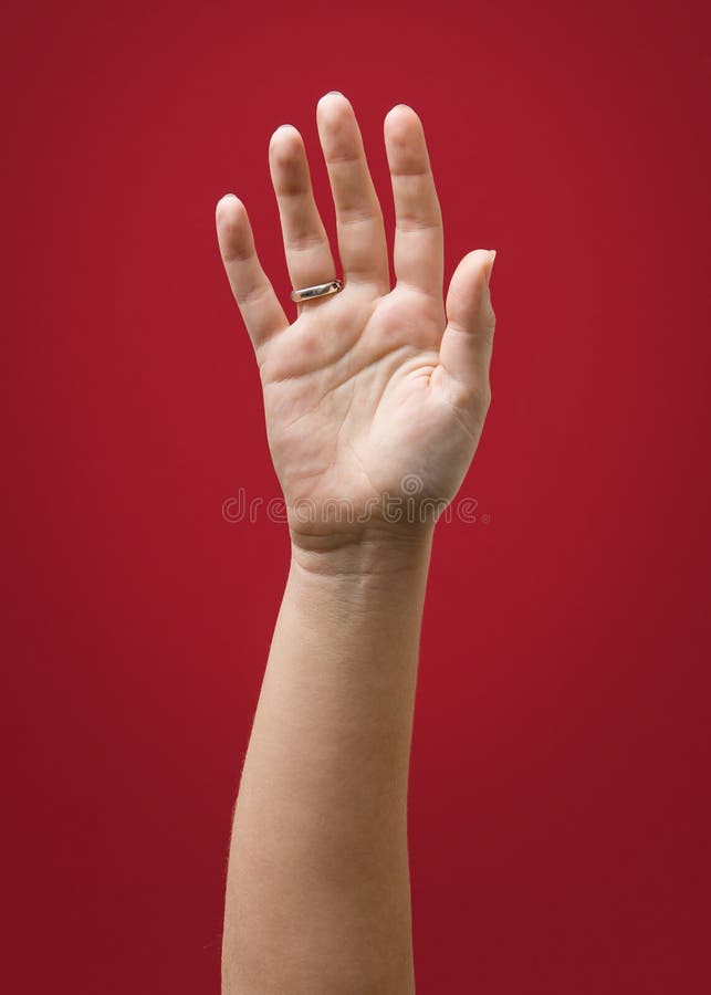 Raised Female Hand Wearing Ring Stock Image - Image of clean, finger ...
