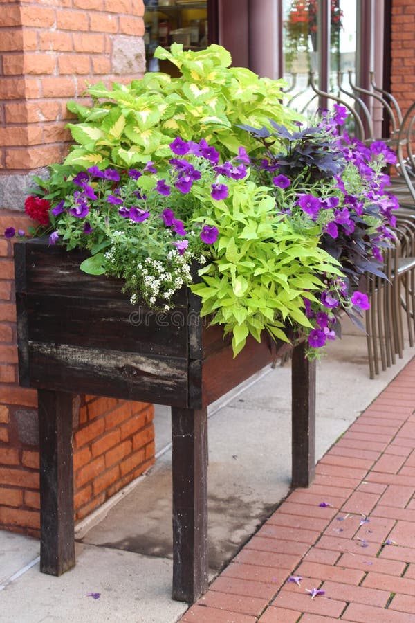 Raised Flower Box Stand in Front of Building Stock Photo - Image of ...