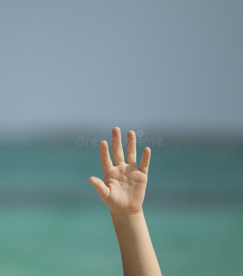Raised hand stock image. Image of asking, isolated, raised - 16368033