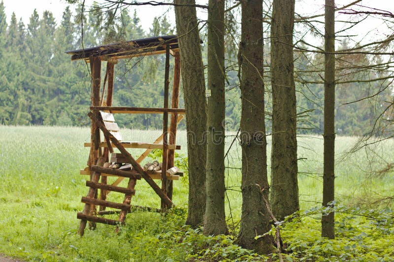 Raised hide in the forest stock image. Image of tree - 154164149