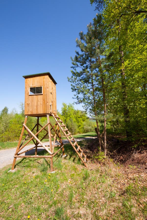 Raised hide 2 stock photo. Image of nature, raised, hide - 32113292