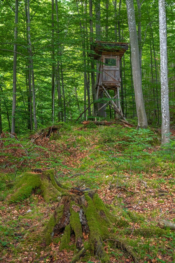 Raised Hide on Kesselberg Mountain Stock Photo - Image of kesselberg ...