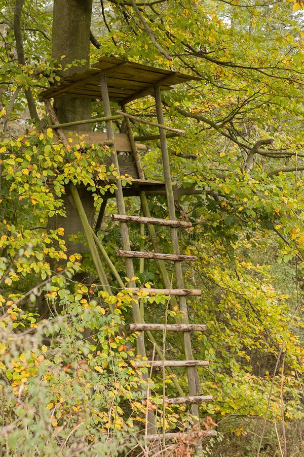 Raised Hide - Raised Blind in Autumn Light Stock Image - Image of ...