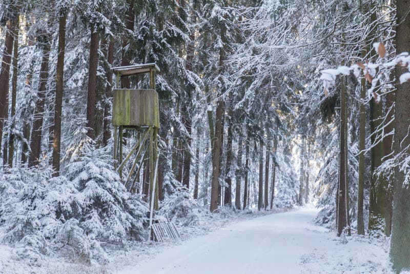 Raised hide in winter stock image. Image of holiday, december - 90652287