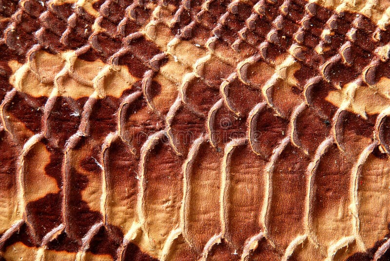 Bumpy leather texture stock image. Image of background - 6459719