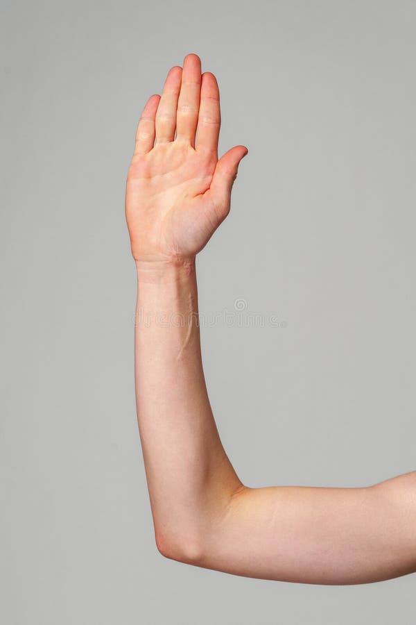 Raised Right Hand Posing in a Neutral Background during Daytime Stock ...