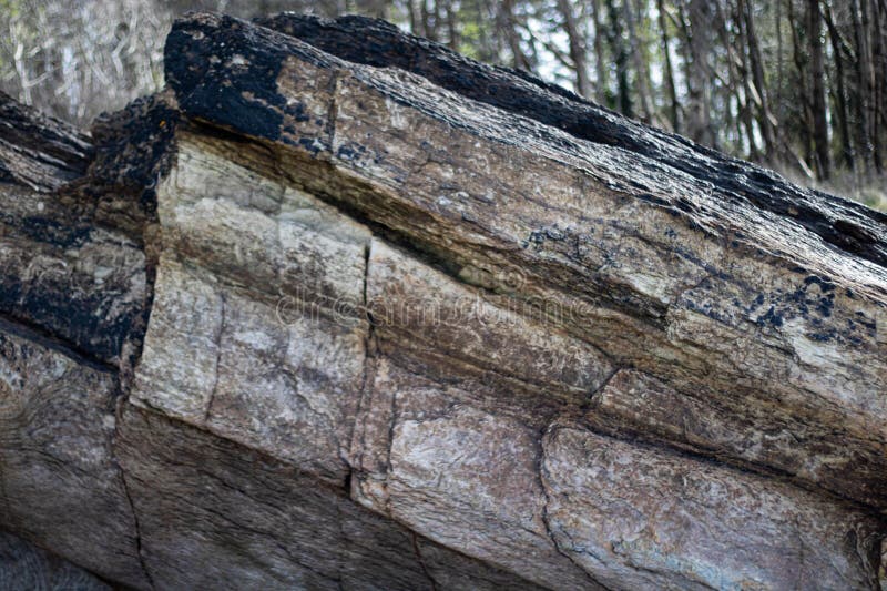 The Raised Texture of Rocks on an Irish Beach Stock Photo - Image of ...