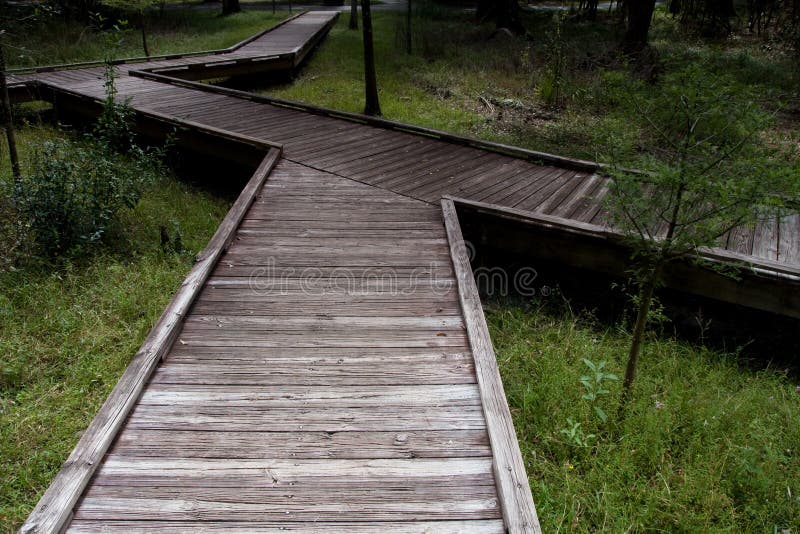 Raised Walkway stock image. Image of walkway, trees, park - 7786603