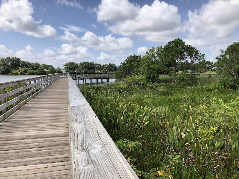 Raised Walking Path in a Swamp Stock Image - Image of beautiful ...
