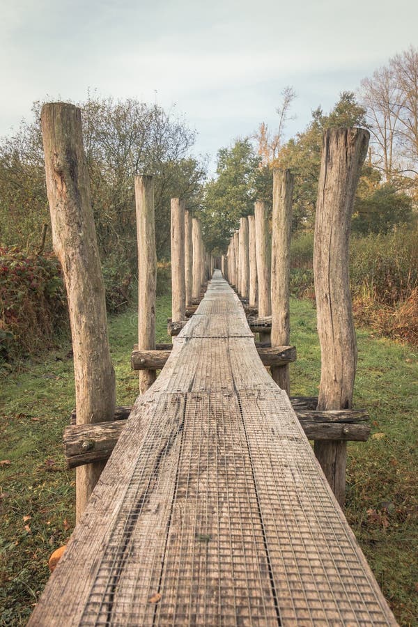 Raised Wooden Path or Walkway Stock Image - Image of grate, nature ...