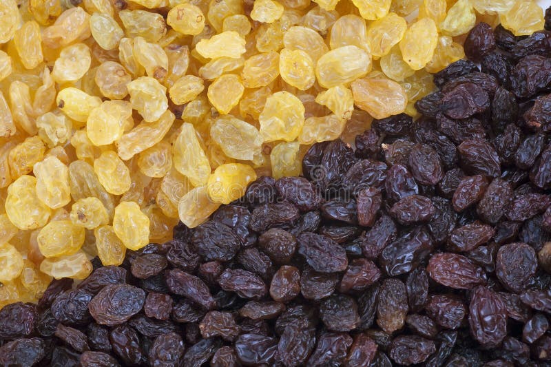 Raisin Background stock image. Image of fruit, raisin - 16395463