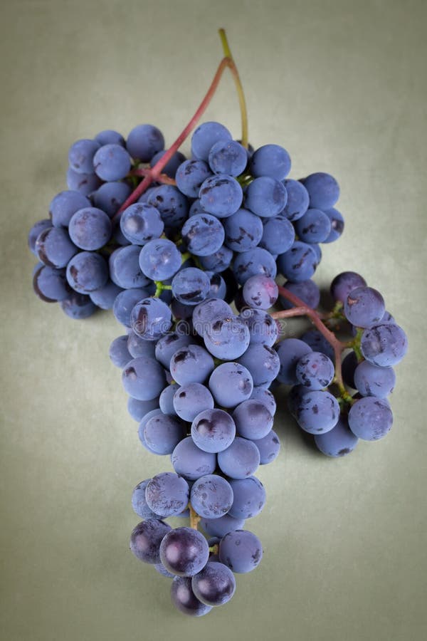 Raisin bleu photo stock. Image du couleur, texture, bleu - 27529832
