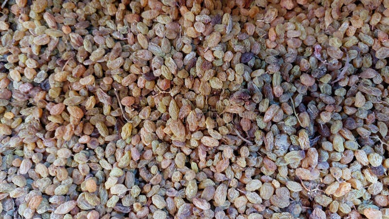 Raisin Closeup View Dried Grapes Stock Image - Image of grap, view ...