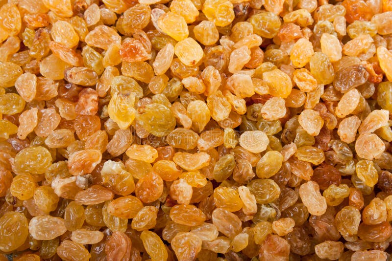 Raisin food stock photo. Image of dried, healthy, isolated - 13465342