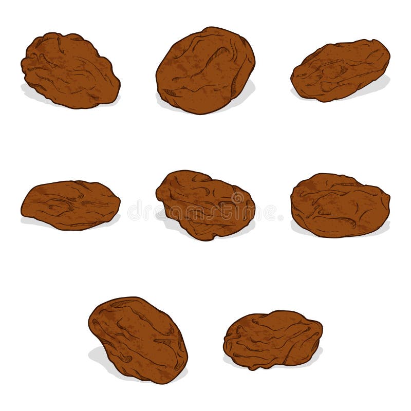 Raisin icon set stock vector. Illustration of vector - 279117099