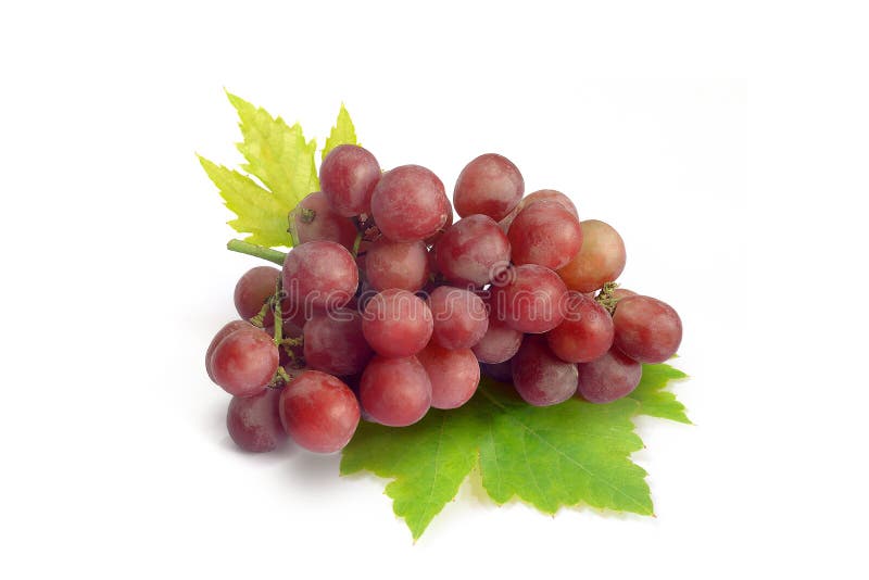 Raisin Rouge D'isolement Sur Le Fond Blanc (fruit) Photo stock - Image ...