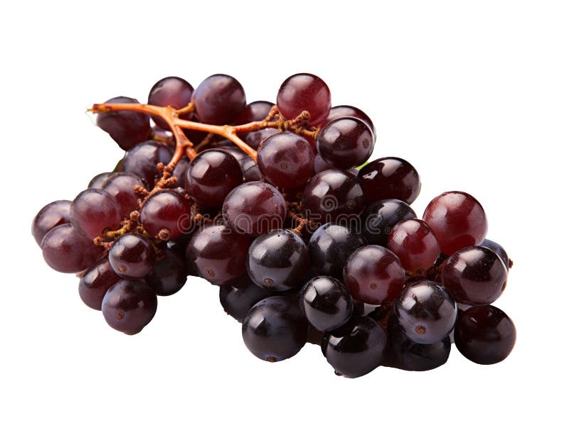Raisin Tree Stock Illustrations – 156 Raisin Tree Stock Illustrations ...