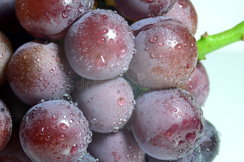 Raisin violet image stock. Image du toujours, raisin - 45385701