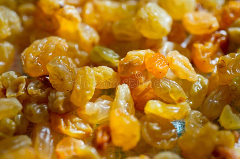 Raisin Yellow and Light Brown Scattered on the Surface of the Fabric ...