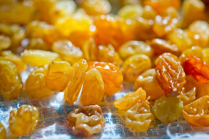 Raisin Yellow and Light Brown Scattered on the Surface of the Fabric ...