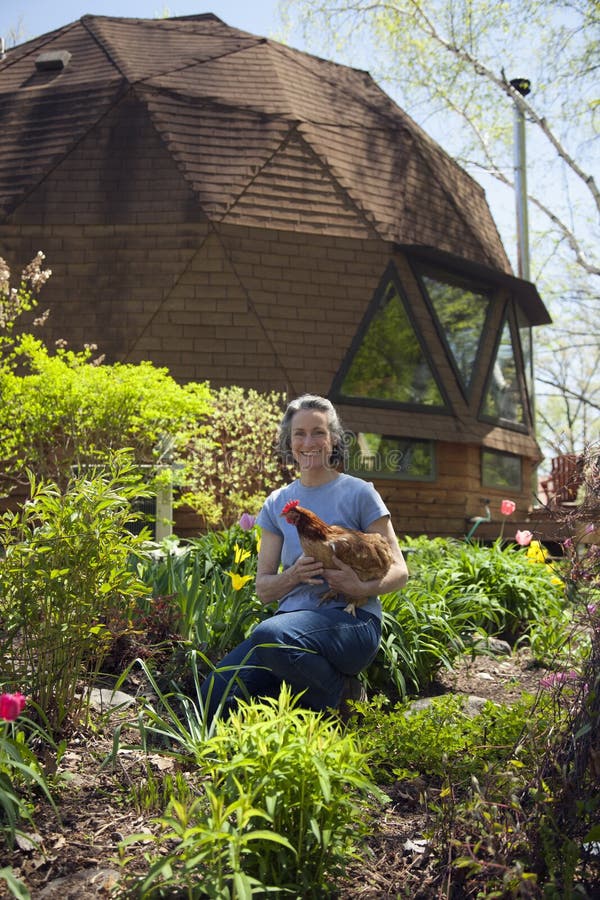 Raising Free-range Chickens Stock Photo - Image of animal, fowl: 23433908