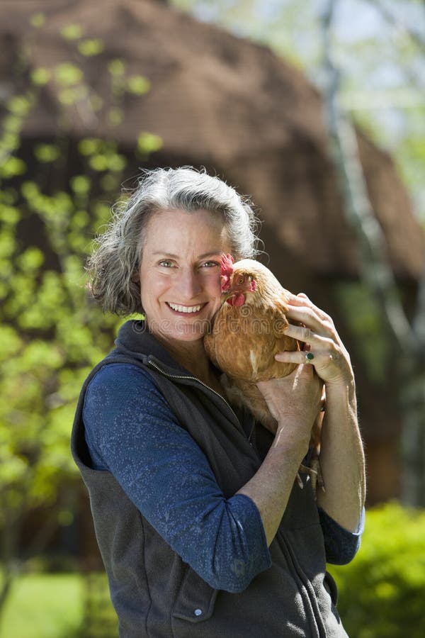 Raising Free-range Chickens Stock Photo - Image of animal, fowl: 23433908