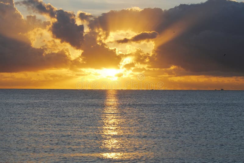 Raising stock photo. Image of outside, birds, exercise - 39225896